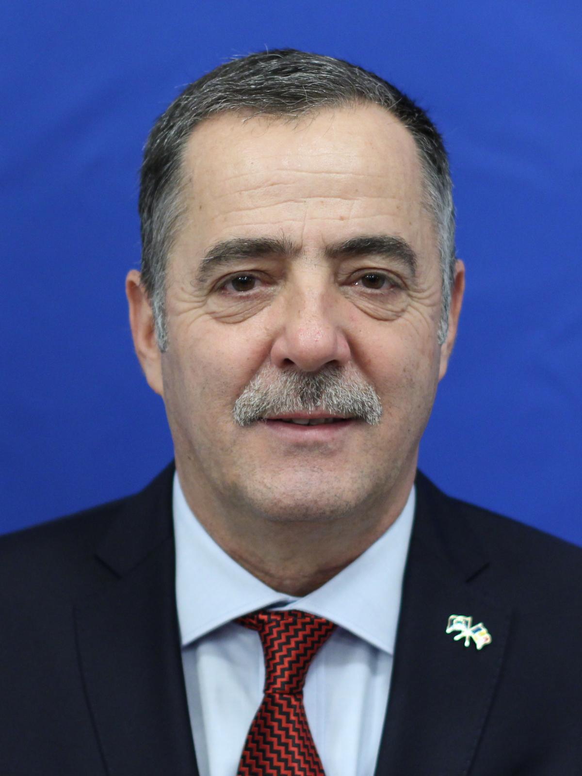 ICR, filială de partid - Cultura la dubă